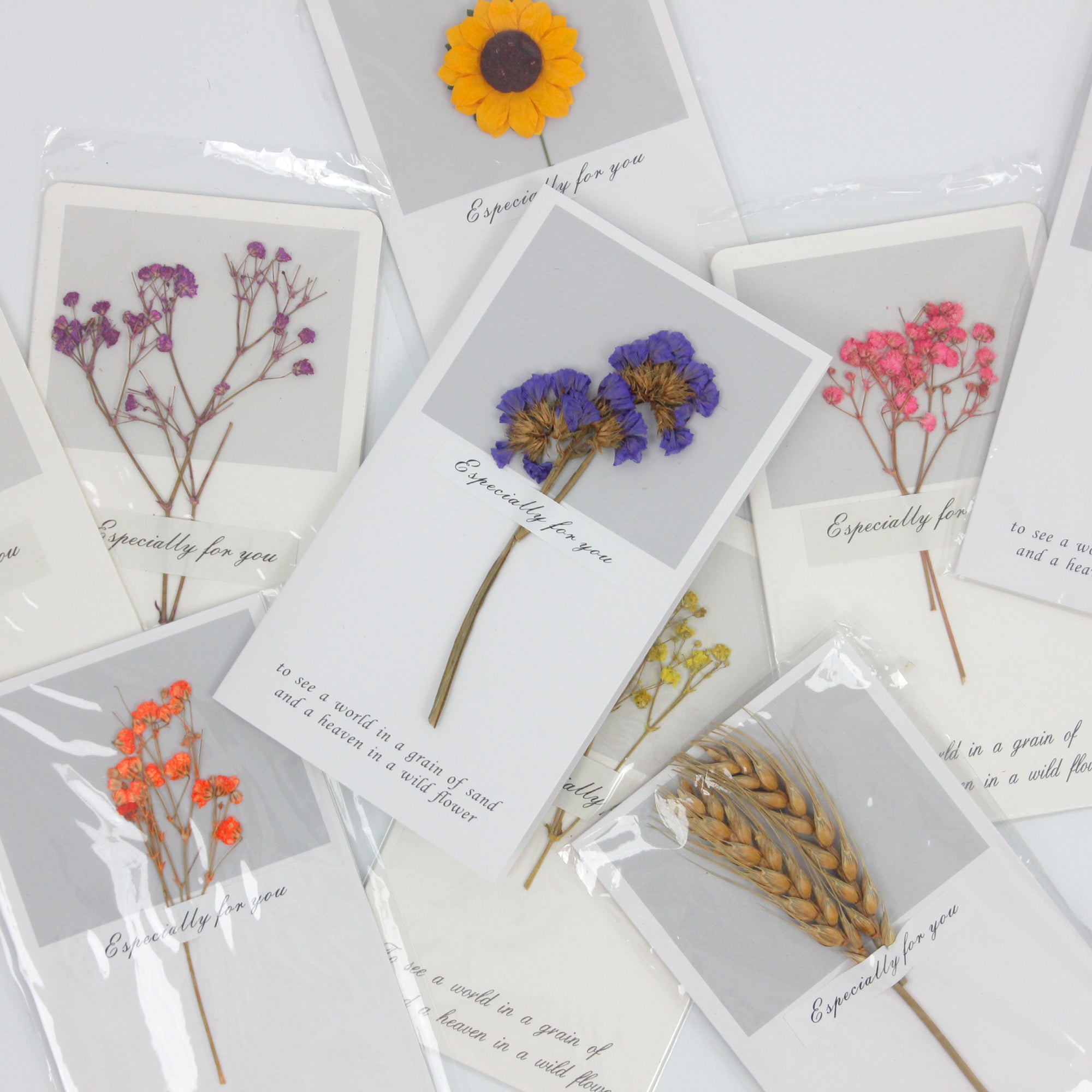 Greeting Card – Elle Blooming